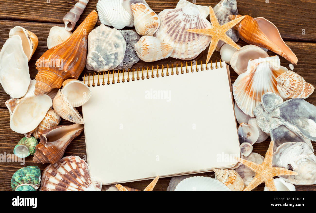 Shells and notepad on wooden table. Top view with copy space Stock ...
