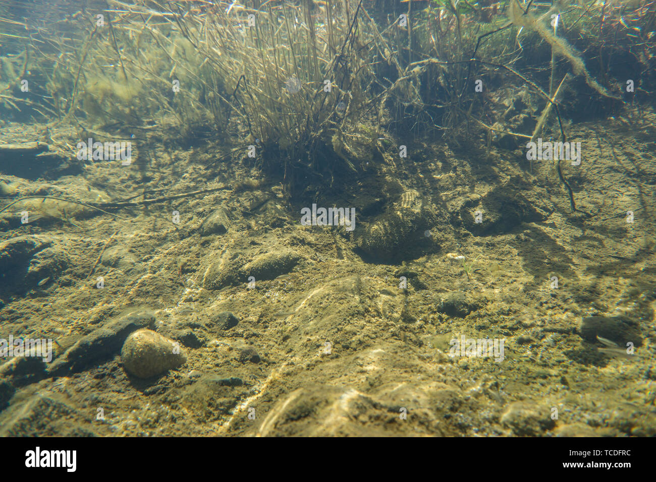 Underwater river hi-res stock photography and images - Alamy