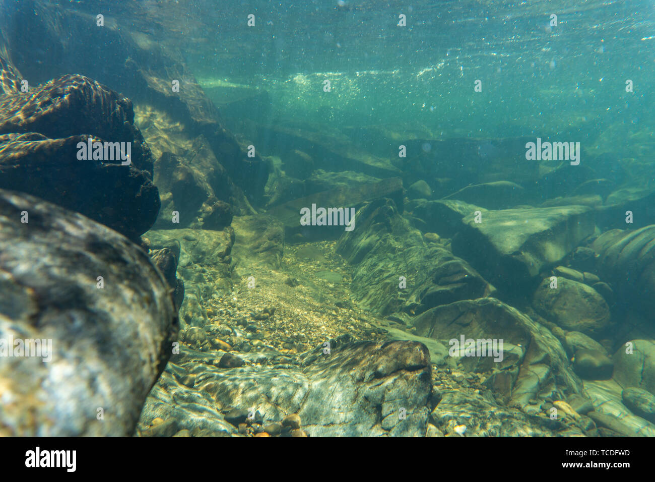 smallmouth bass underwater Stock Photo - Alamy