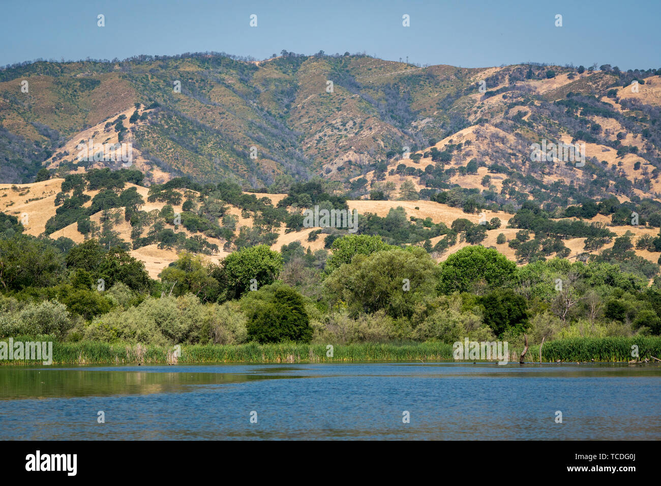 Solano Stock Photos & Solano Stock Images - Alamy