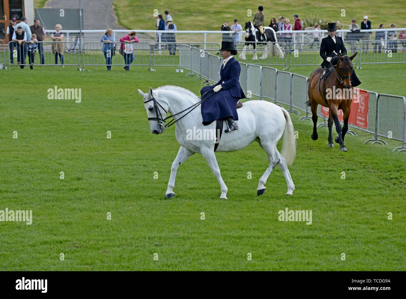 Side Saddle Rider Stock Photos & Side Saddle Rider Stock Images - Alamy