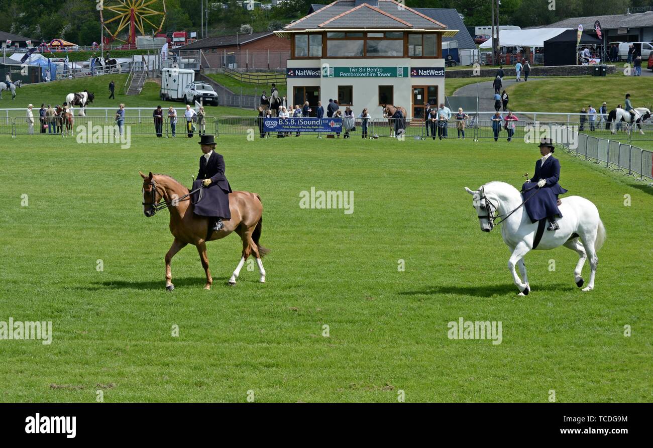 Side Saddle Rider Stock Photos & Side Saddle Rider Stock Images - Alamy