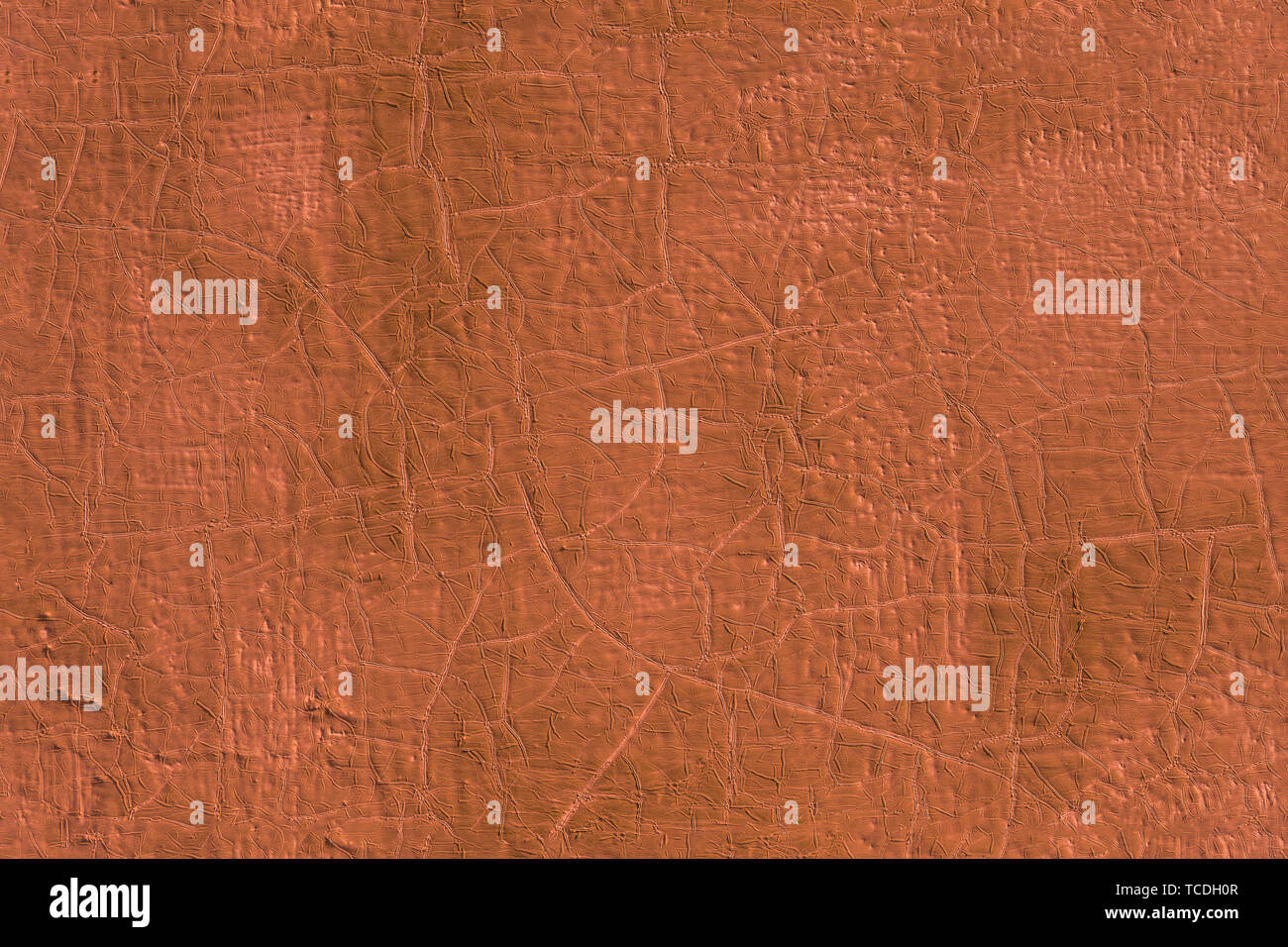 Pentaftail hi-res stock photography and images - Alamy