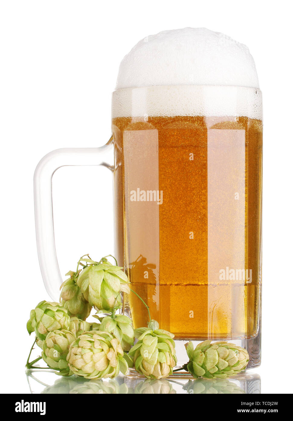 beer mug and green hop isolated on white Stock Photo - Alamy