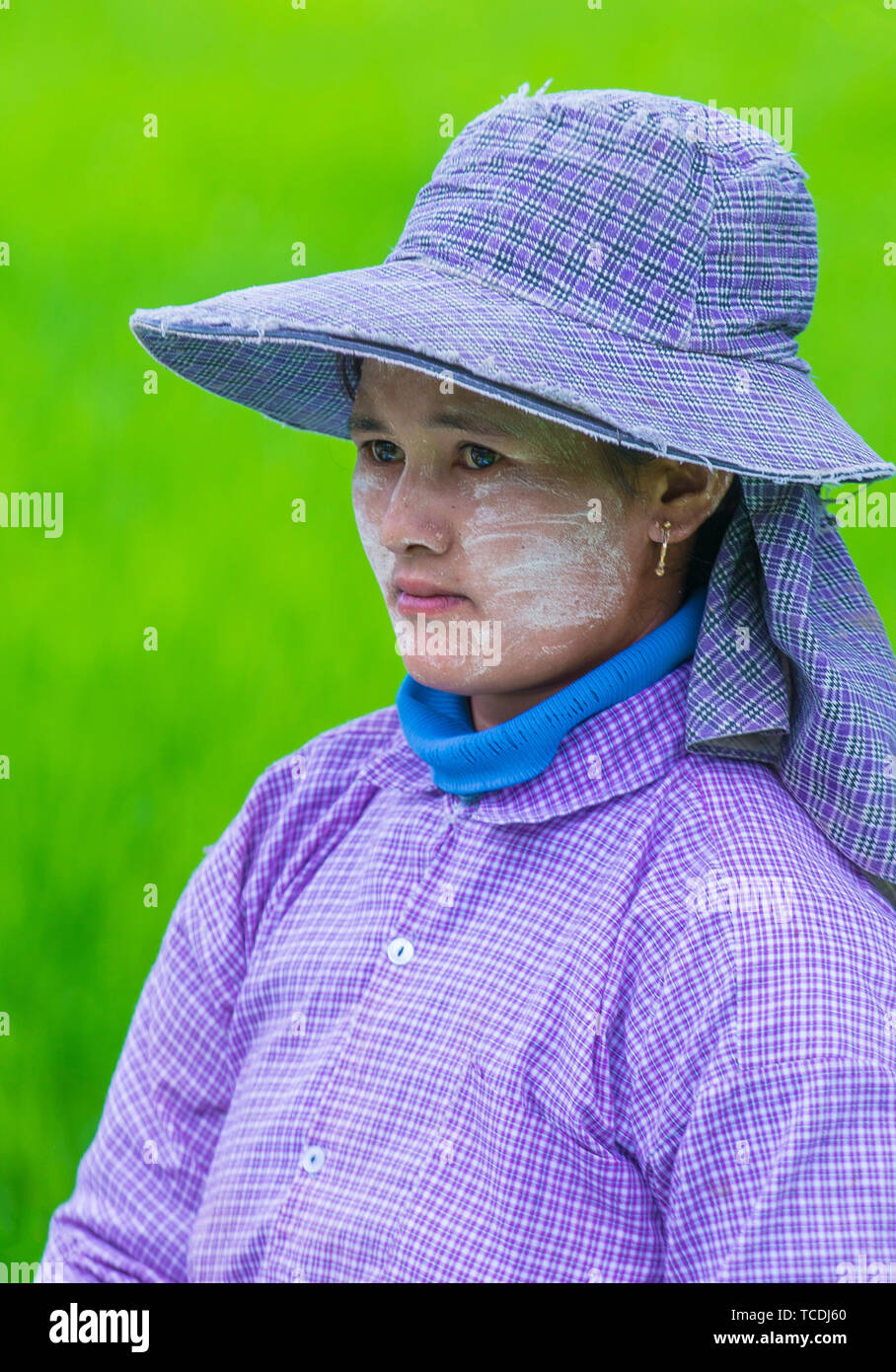 Portrait of Burmese farmer working at a rice field in Shan state ...