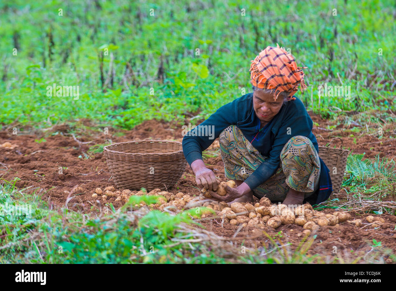 Myanmar farmer hi-res stock photography and images - Alamy