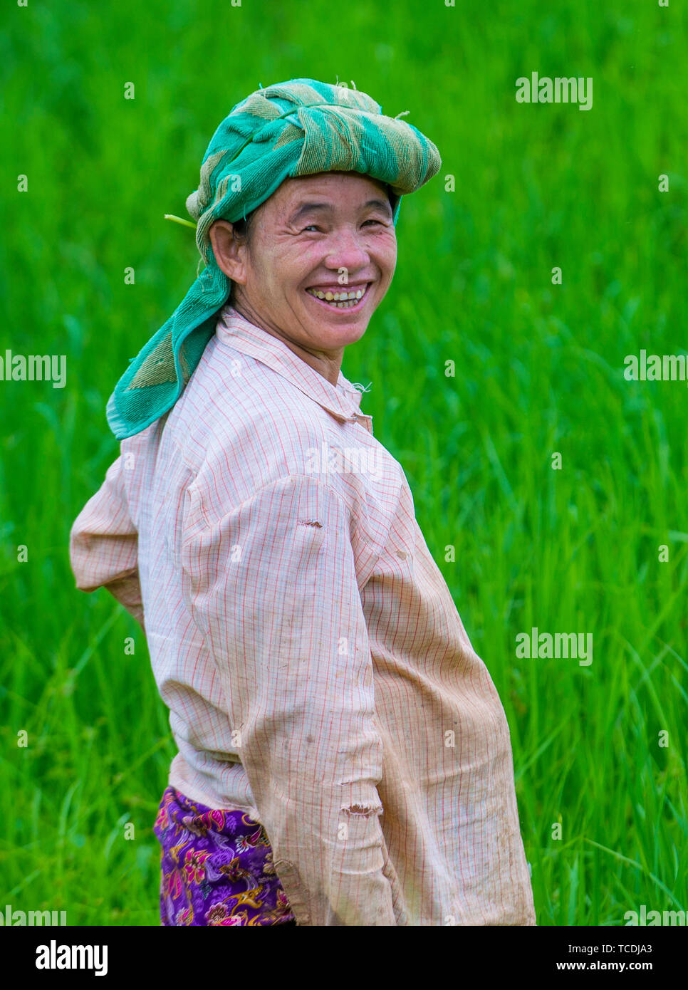 Portrait of Burmese farmer working at a rice field in Shan state ...