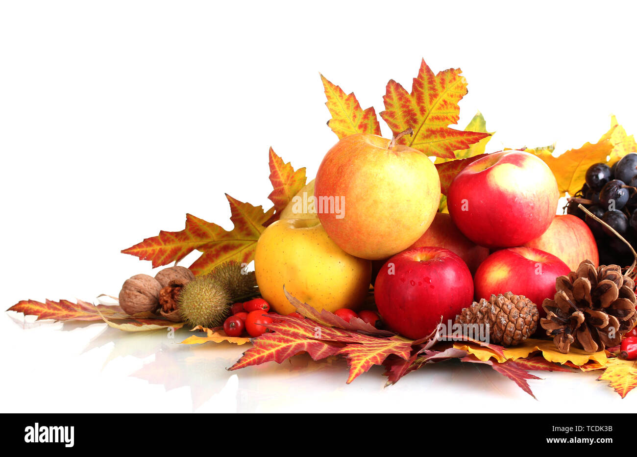 beautiful autumn harvest and leaves isolated on white Stock Photo - Alamy