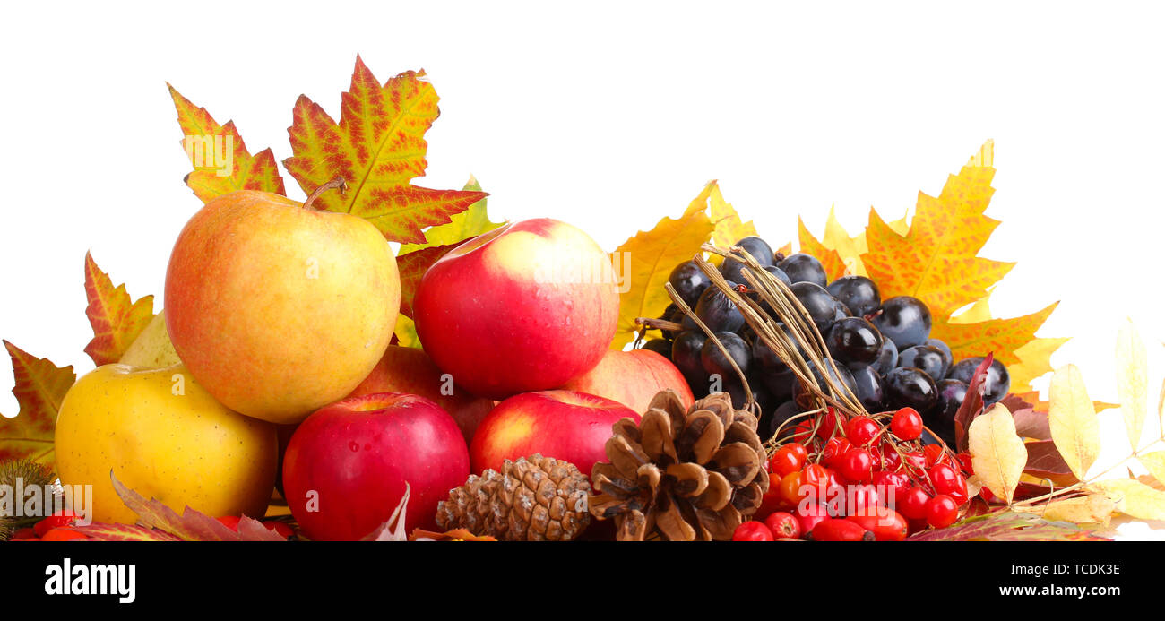 beautiful autumn harvest and leaves isolated on white Stock Photo - Alamy
