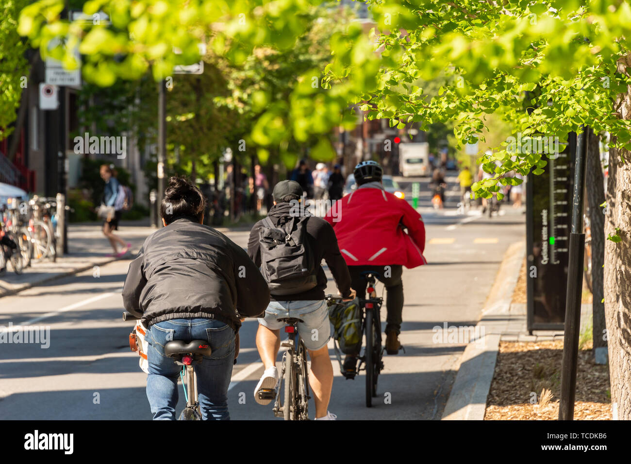 Montreal, Canada - 6 June 2019: People are riding bikes on a cycle path ...