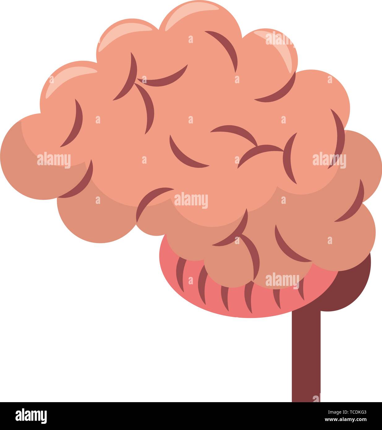 Human brain cartoon isolated symbol Stock Vector Image & Art - Alamy