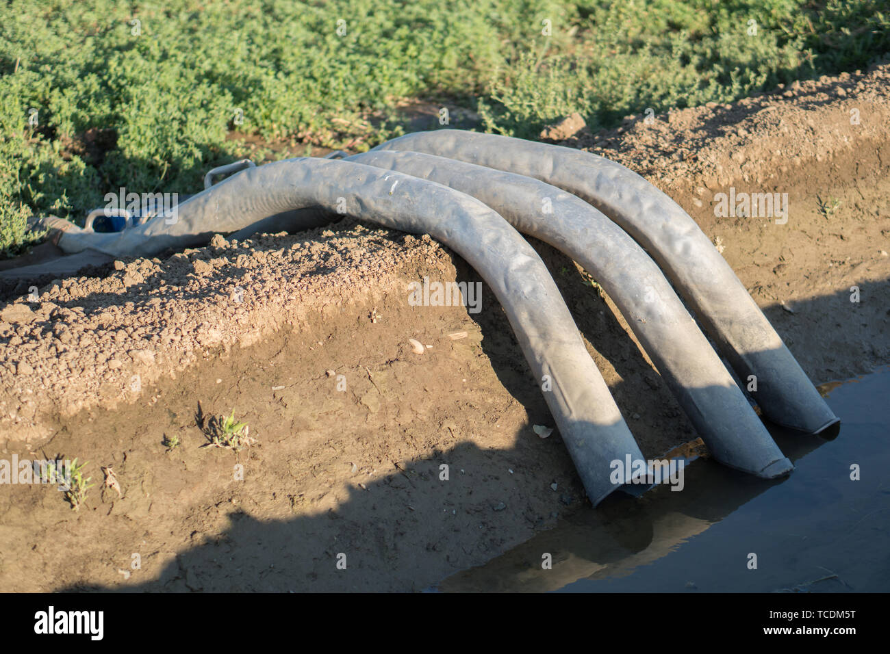 agriculture field irrigation syphon system Stock Photo - Alamy