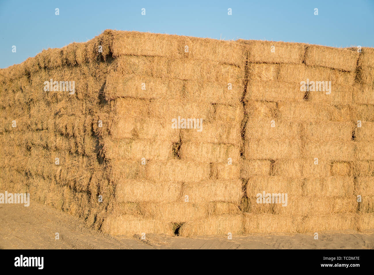 Massive stack of dried hay bails Stock Photo - Alamy