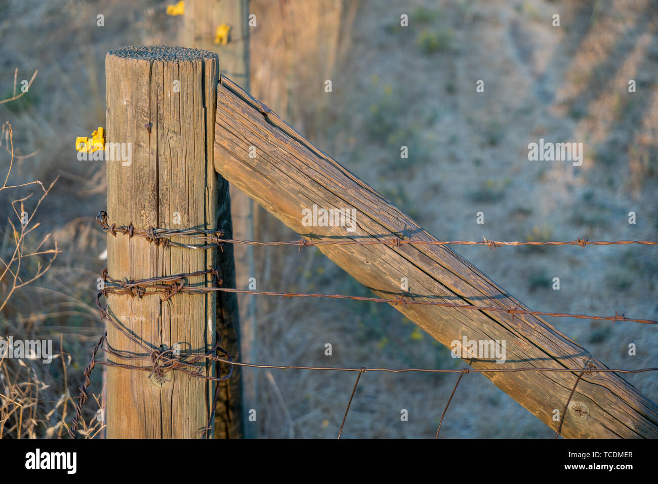 old wooden fence post with barbed wire Stock Photo - Alamy