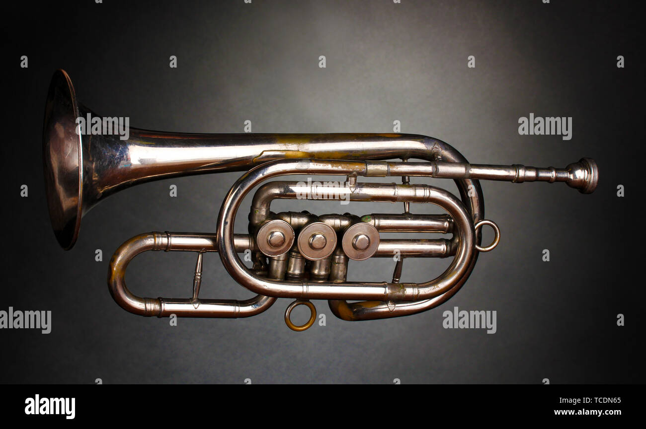 old trumpet on gray background Stock Photo - Alamy