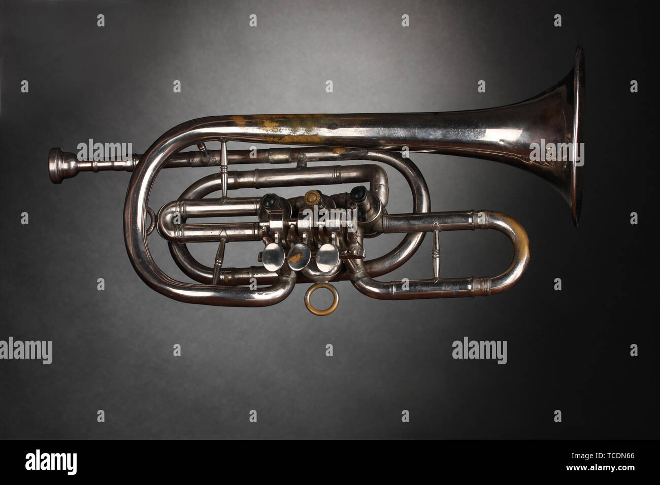 old trumpet on gray background Stock Photo - Alamy