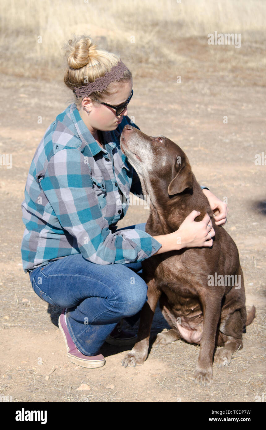 a young female hugs her dog as the old senior chocolate lab looks up ...
