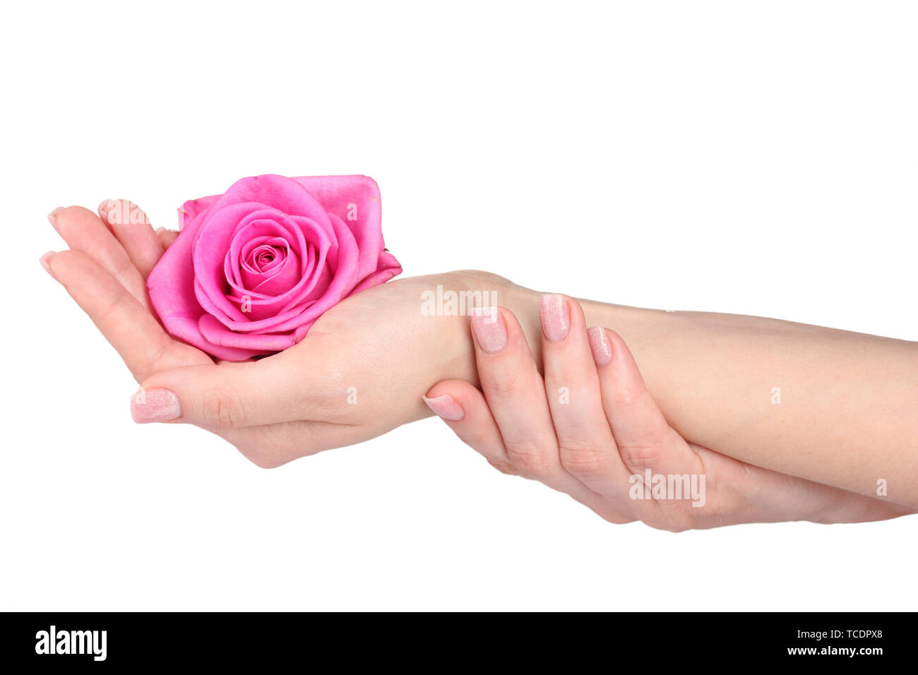 Rose hands love Cut Out Stock Images & Pictures - Alamy