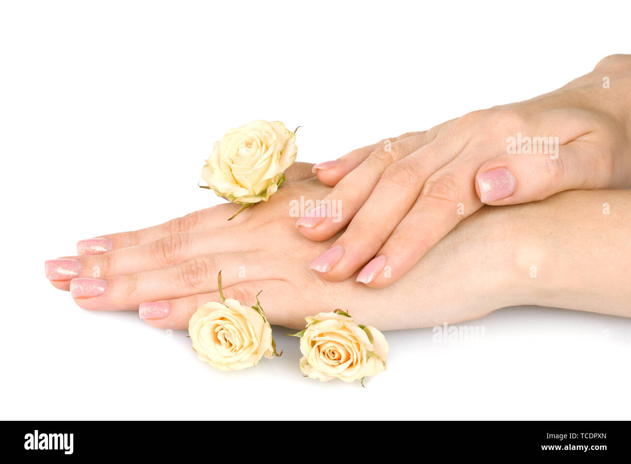 Rose and hands isolated on white Stock Photo - Alamy