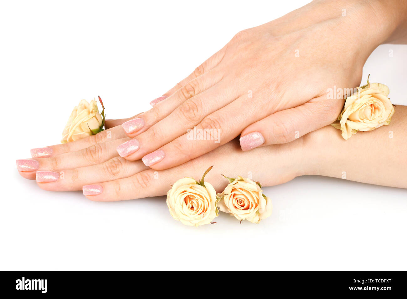 Rose and hands isolated on white Stock Photo - Alamy