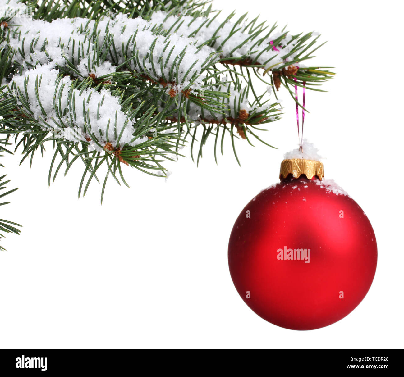 Christmas ball on the tree isolated on white Stock Photo - Alamy