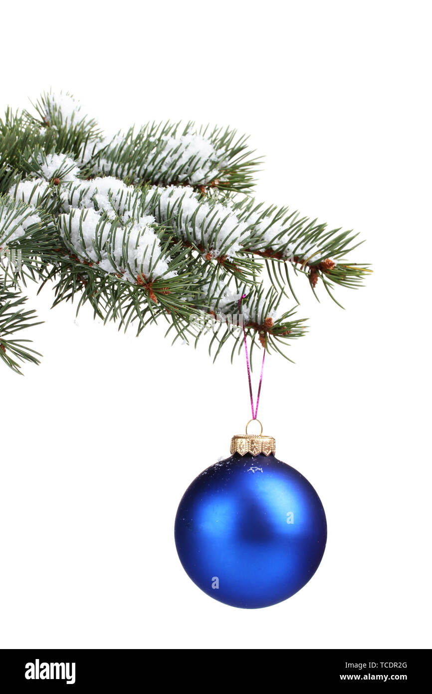 Christmas ball on the tree isolated on white Stock Photo - Alamy