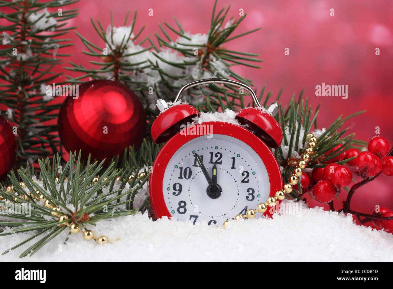 Undecorated christmas tree in hi-res stock photography and images - Alamy