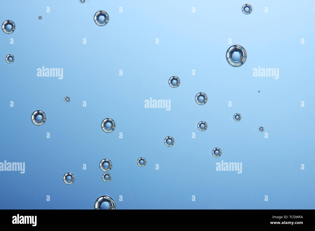 Babbles High Resolution Stock Photography and Images - Alamy