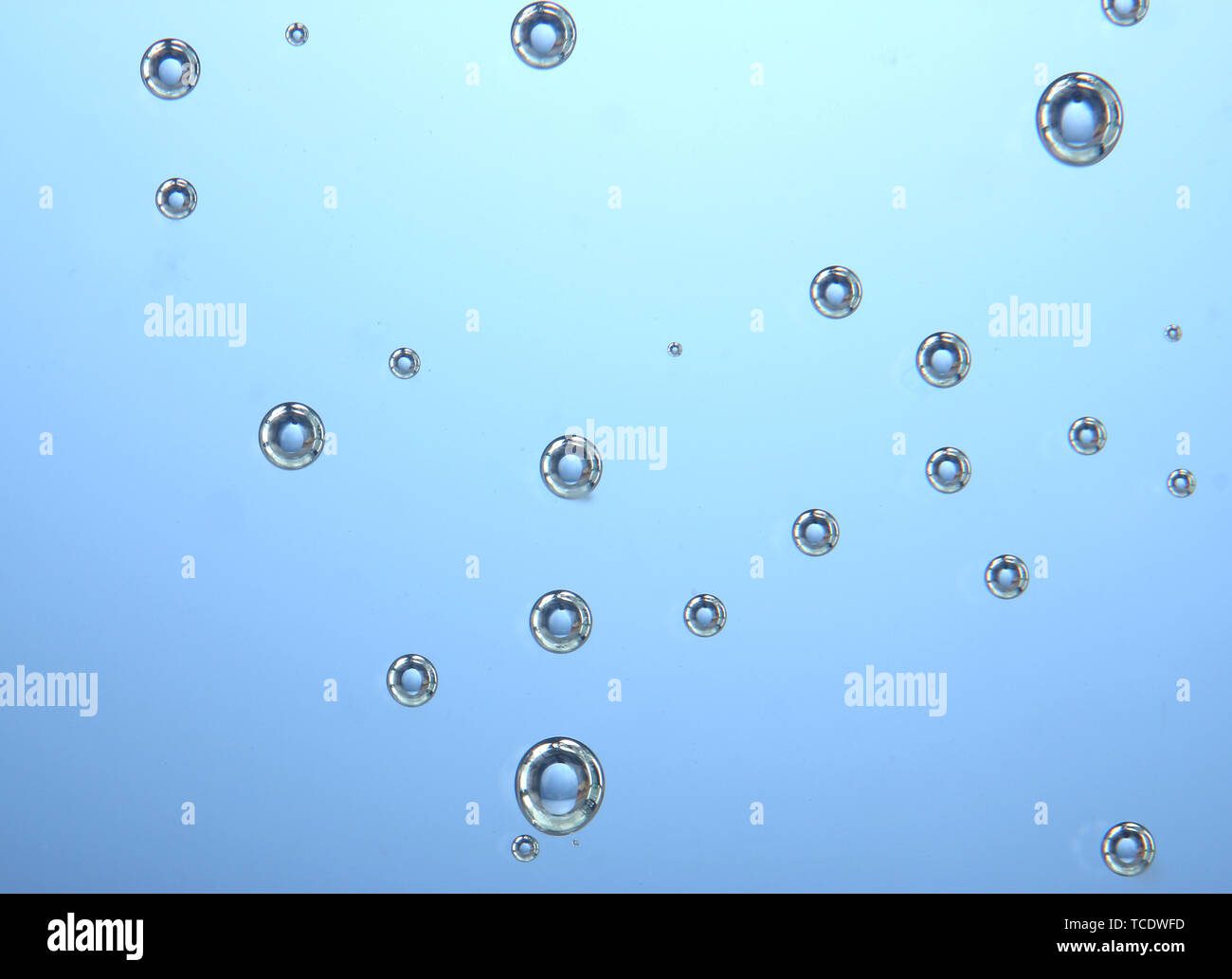 Babbles High Resolution Stock Photography and Images - Alamy