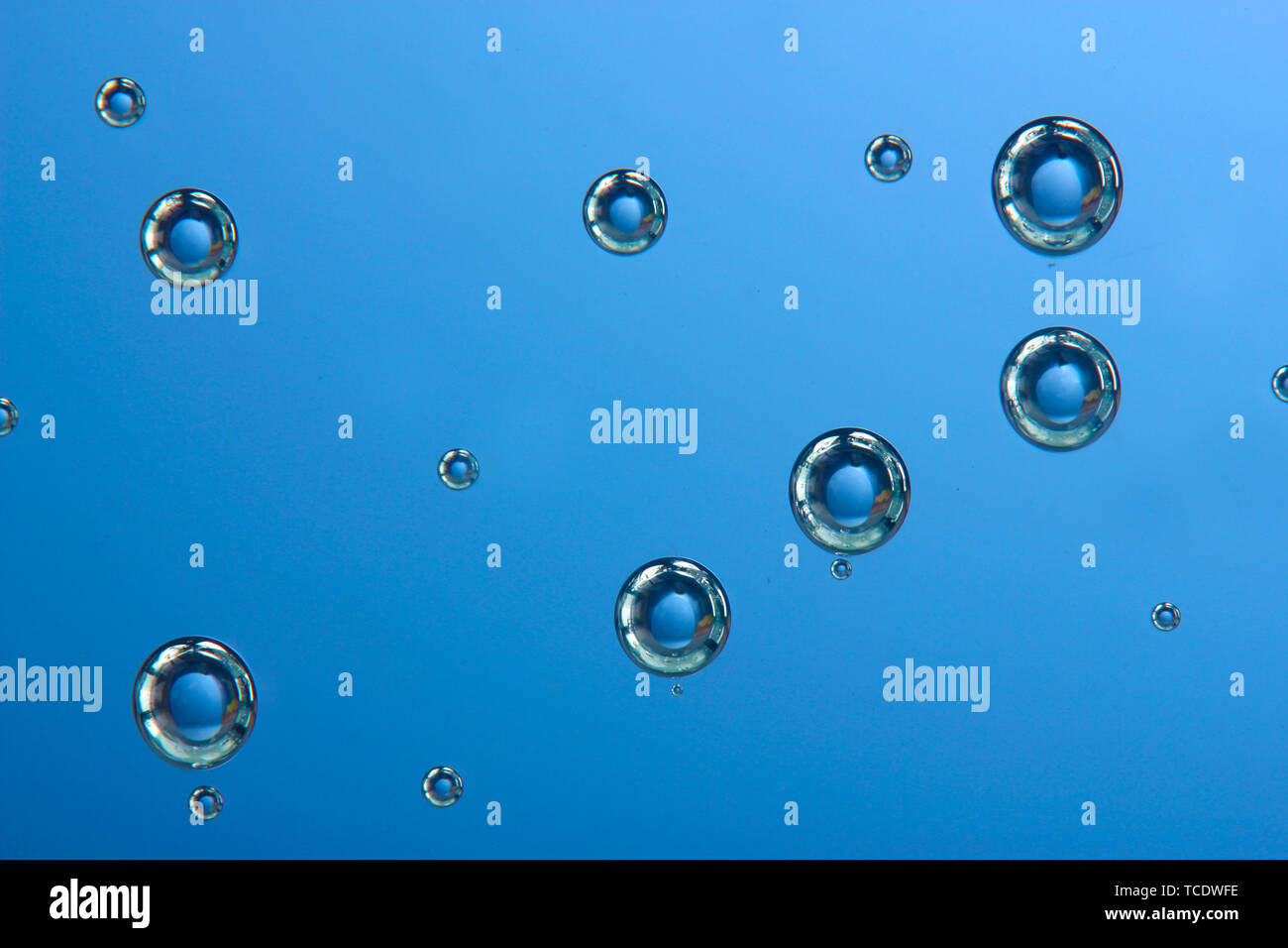 Babbles High Resolution Stock Photography and Images - Alamy