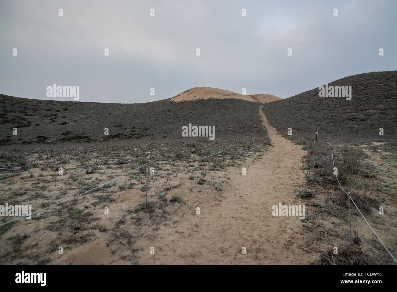 View to sandy path leading to small hills in cloudy day Stock Photo - Alamy