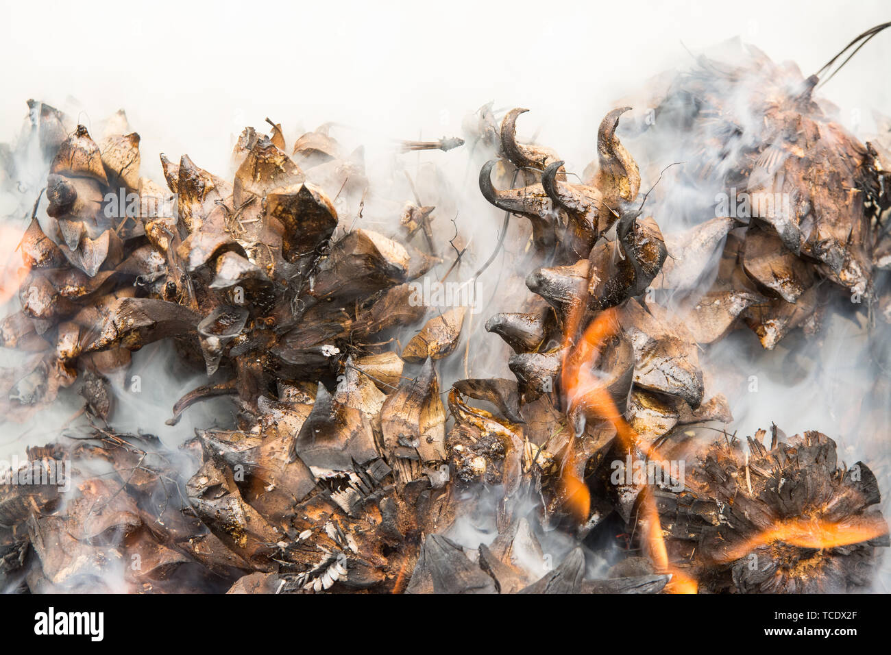 Dry autumn foliage burning in bonfire with white smoke Stock Photo - Alamy