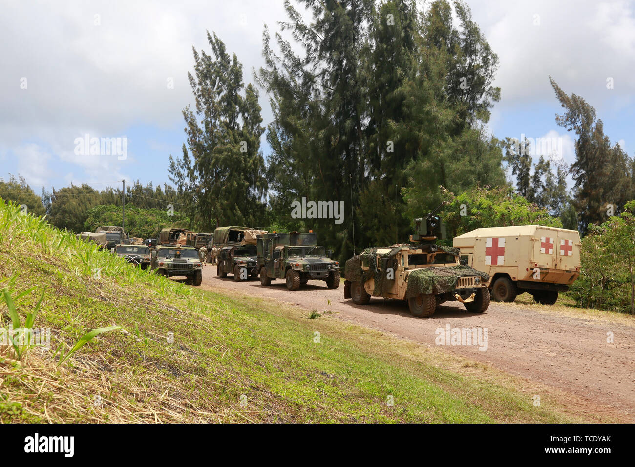 55th infantry division hi-res stock photography and images - Alamy