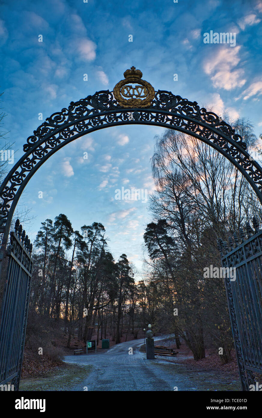 Ornate wrought iron gates hi-res stock photography and images - Alamy