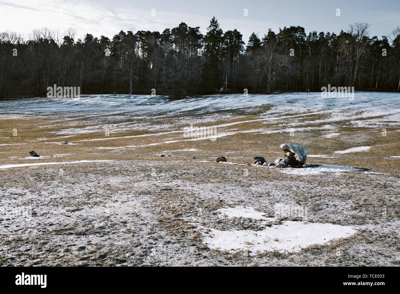 King magnus sweden hi-res stock photography and images - Alamy