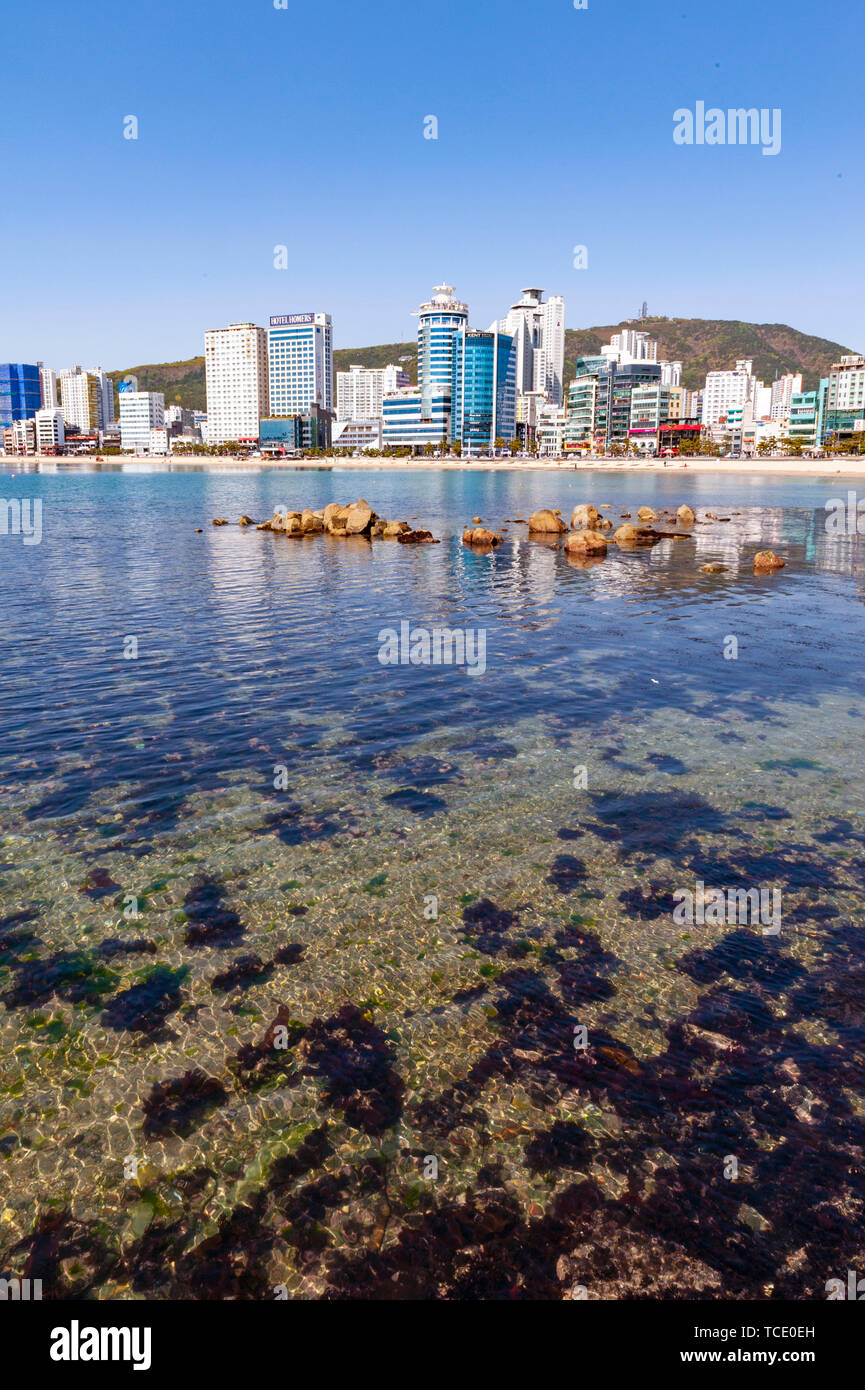 Cityscape view of coastal area of Busan at Gwangalli Beach, a popular ...