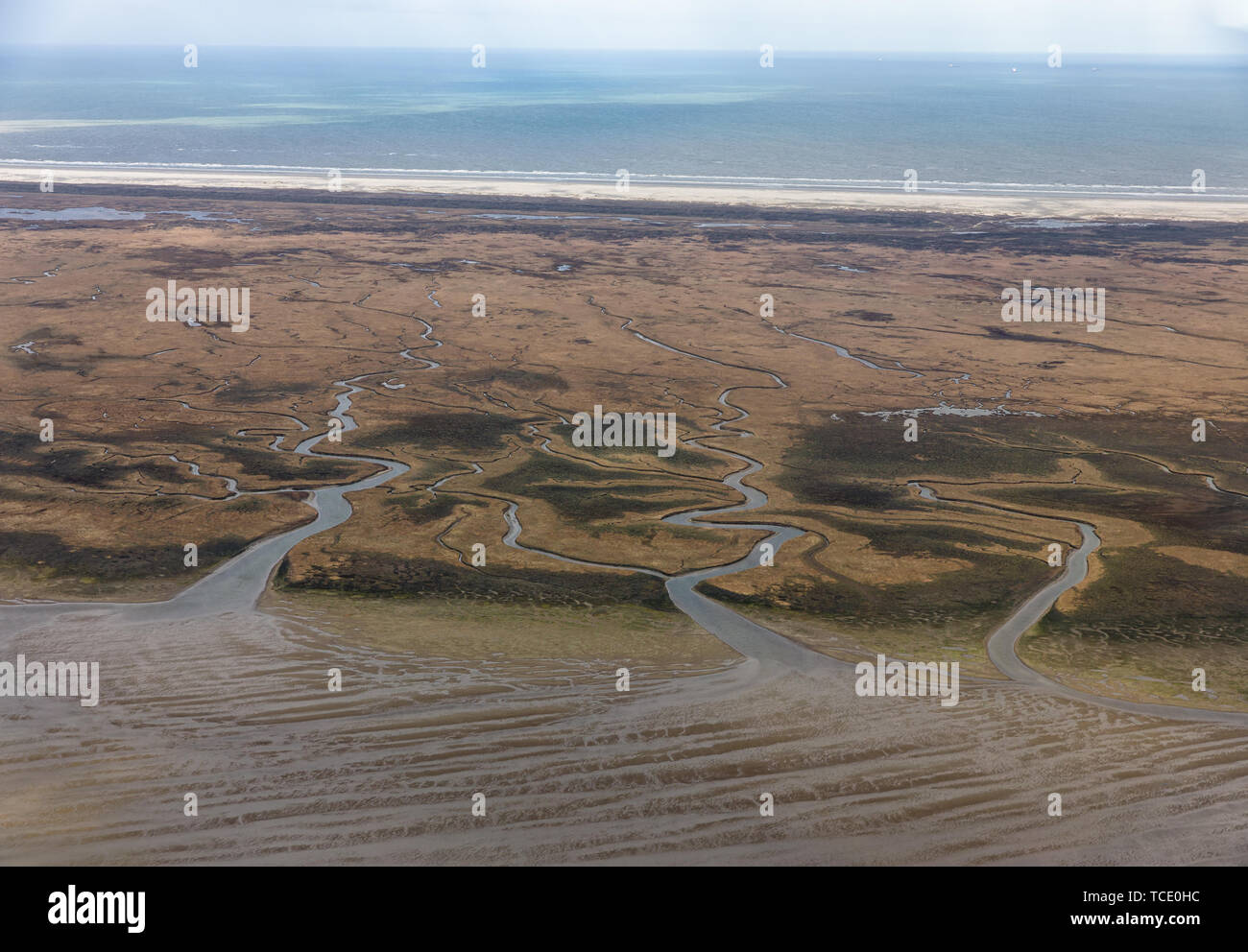 Aerial view Dutch island Schiermoniikoog, coastline with wetlands and ...