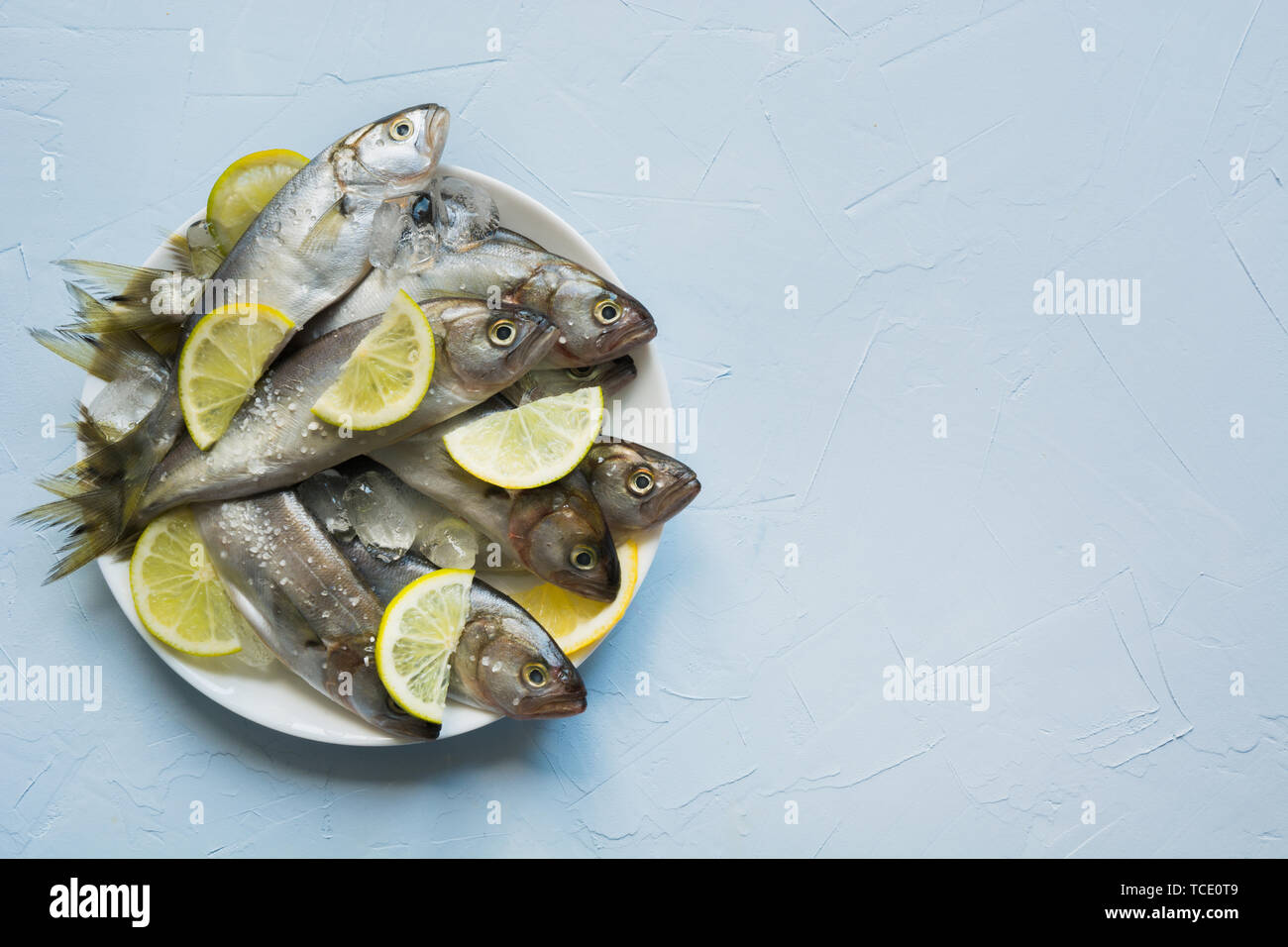 Black sea bluefish with ice cube and lemon in plate on blue concrete ...