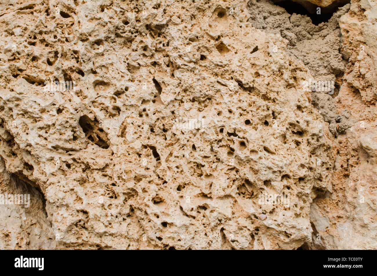 Details of sandstone texture. Stone texture for background Stock Photo ...