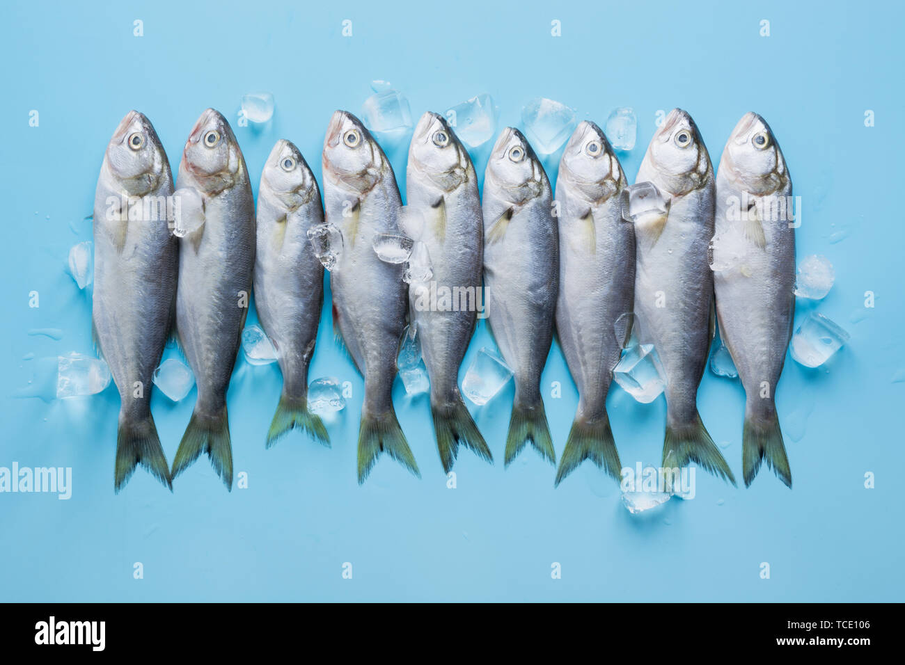 Silver flat fish sea hi-res stock photography and images - Alamy