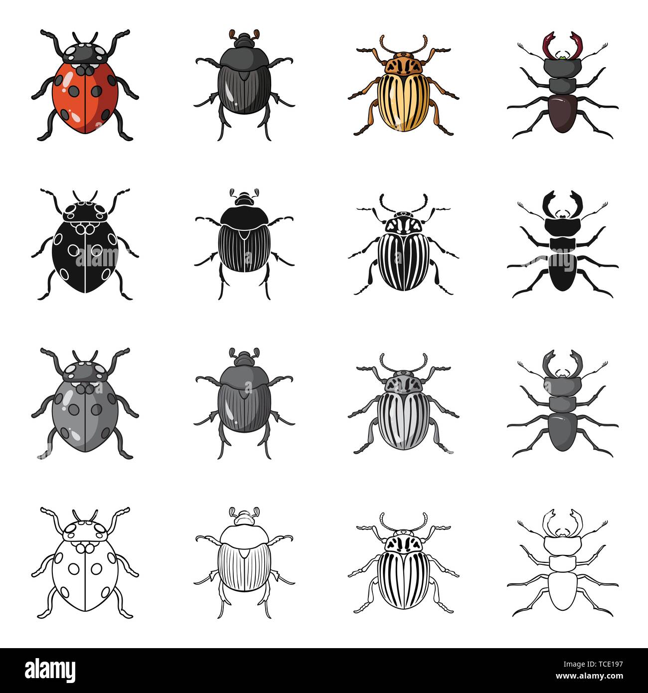 horn,ladybug,pest,cockroach,bug,insect,beetle,animal,halloween,drawn ...