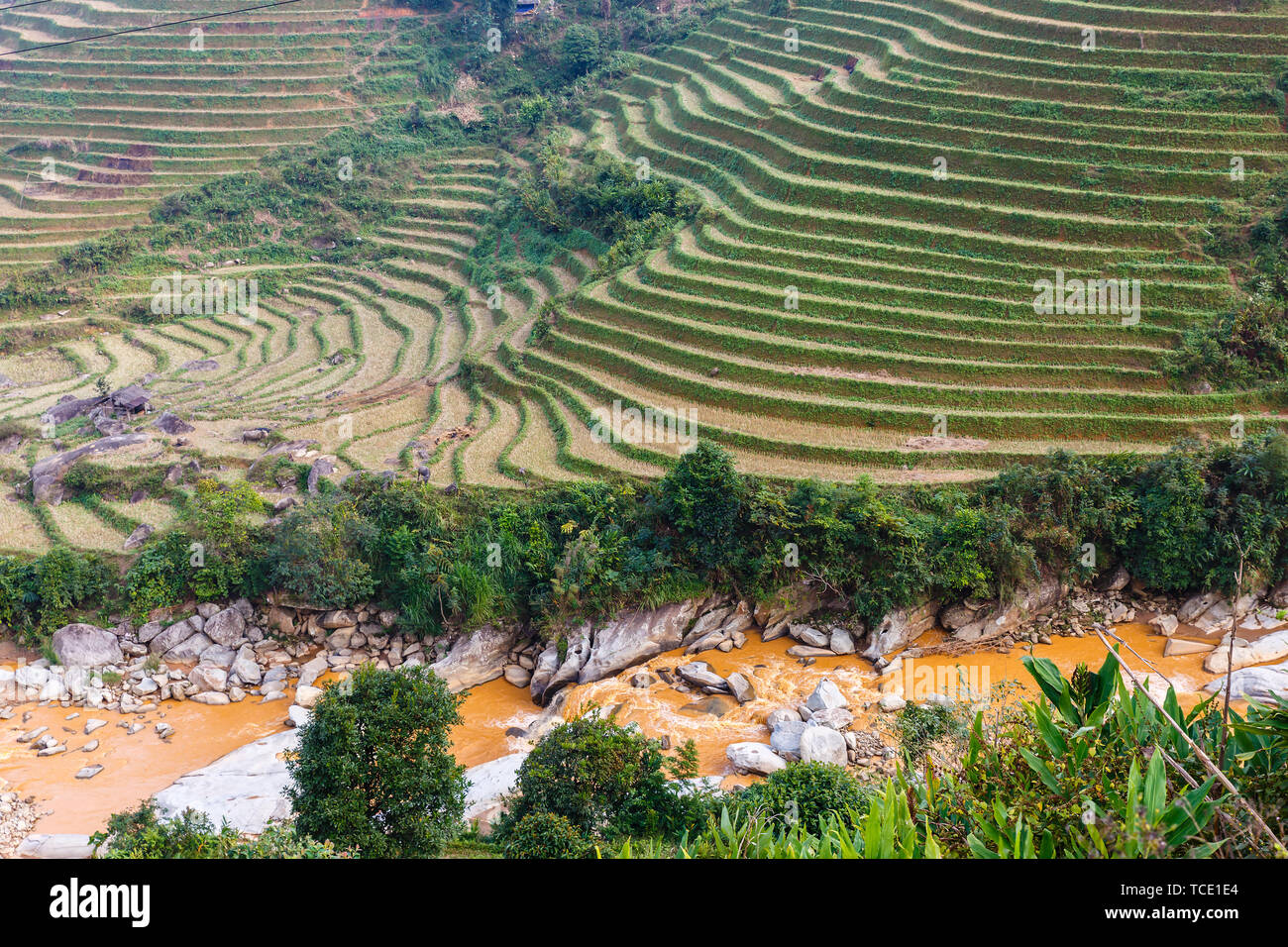Terraced rice field landscape near Sa pa, Lao Cai, Vietnam Stock Photo ...