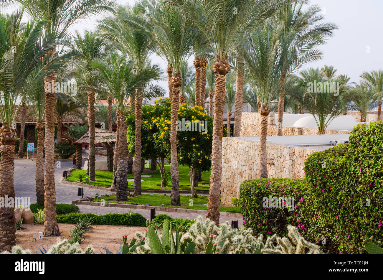 Hotel Landscape Design Ideas Top Landscape Design Ideas For Hotel: