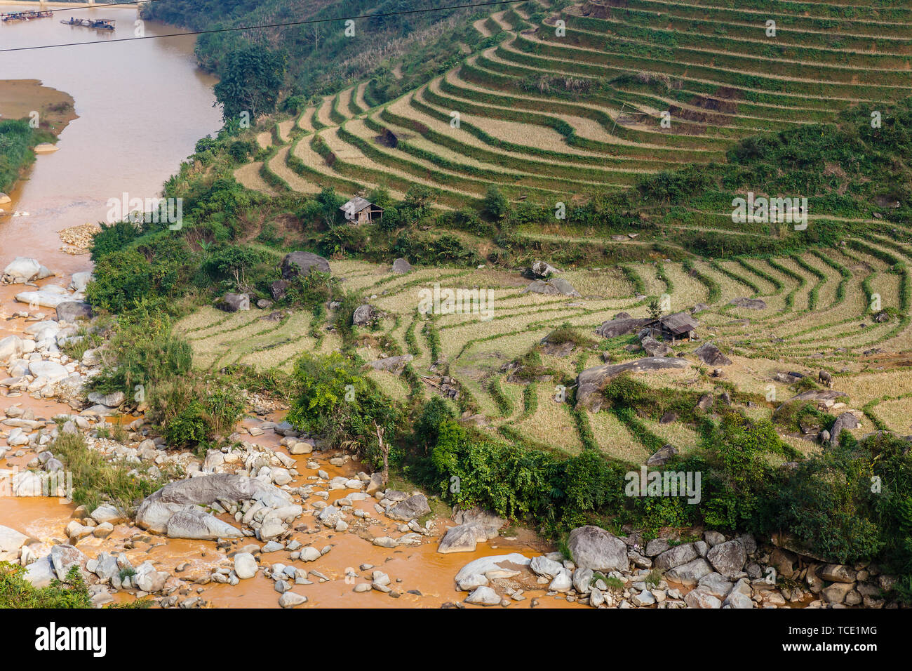 river and terraced rice fields, a landscape near Sapa in Vietnam Stock ...