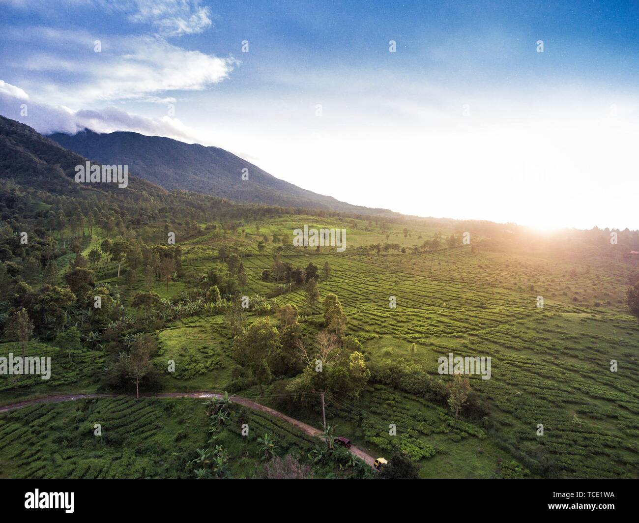 Bogor java indonesia hi-res stock photography and images - Alamy