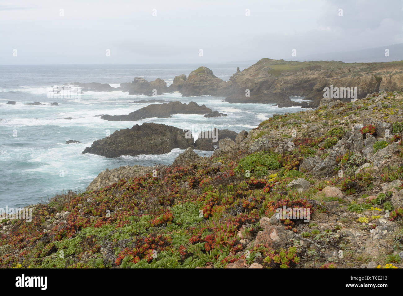 Perspective view of rocky cliffs with little vegetation and rough waves ...