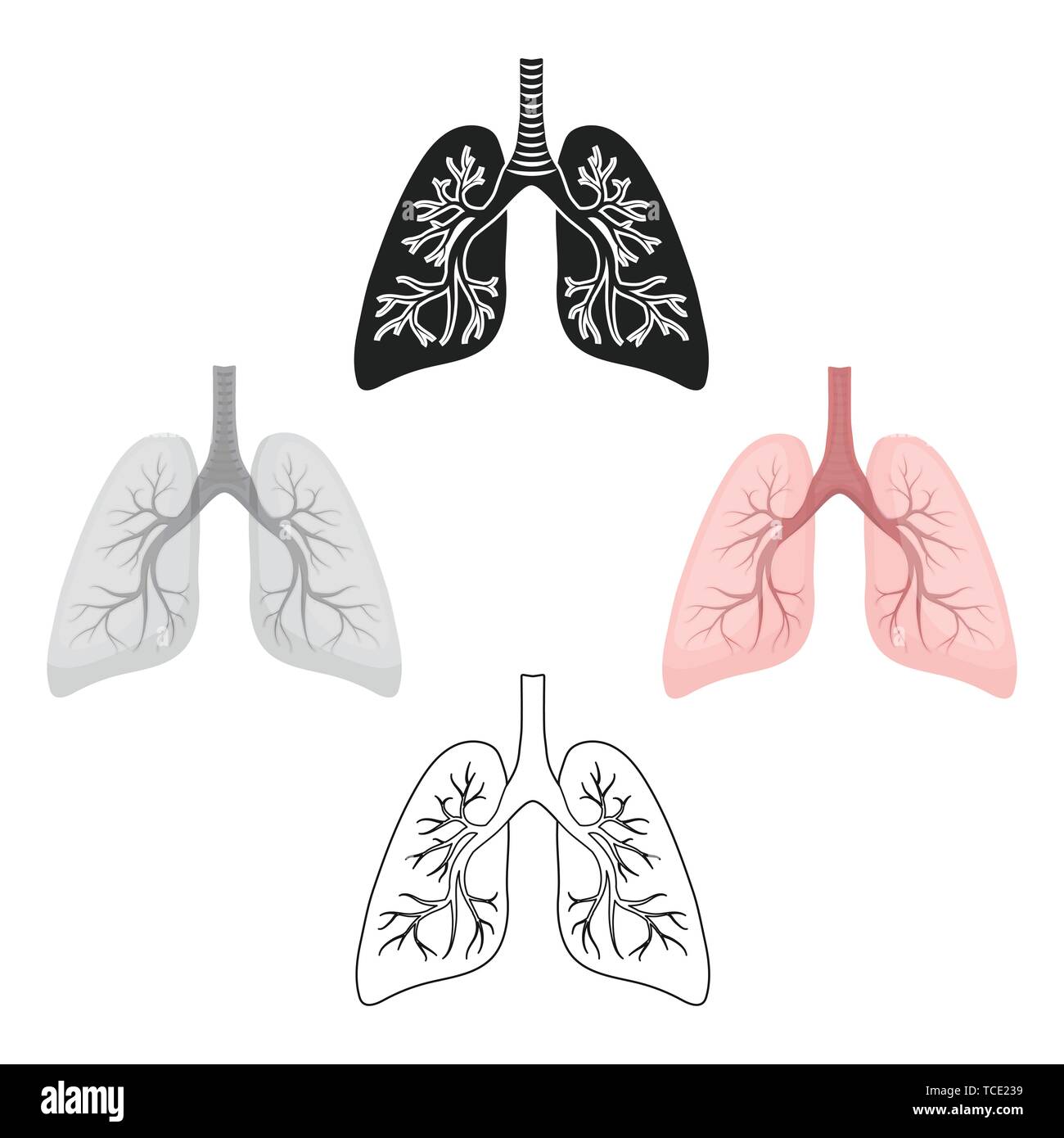 anatomical,anatomy,art,biology,body,breath,breathe,breathing,bronchi ...