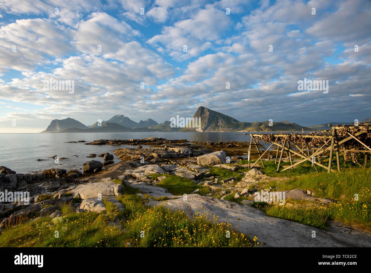 Fish drying racks, Litj Sandnes, Flakstad, Lofoten, Nordland, Norway ...