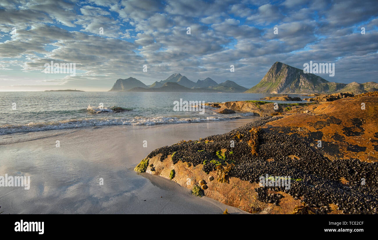Beach, Flakstad, Lofoten, Nordland, Norway Stock Photo - Alamy