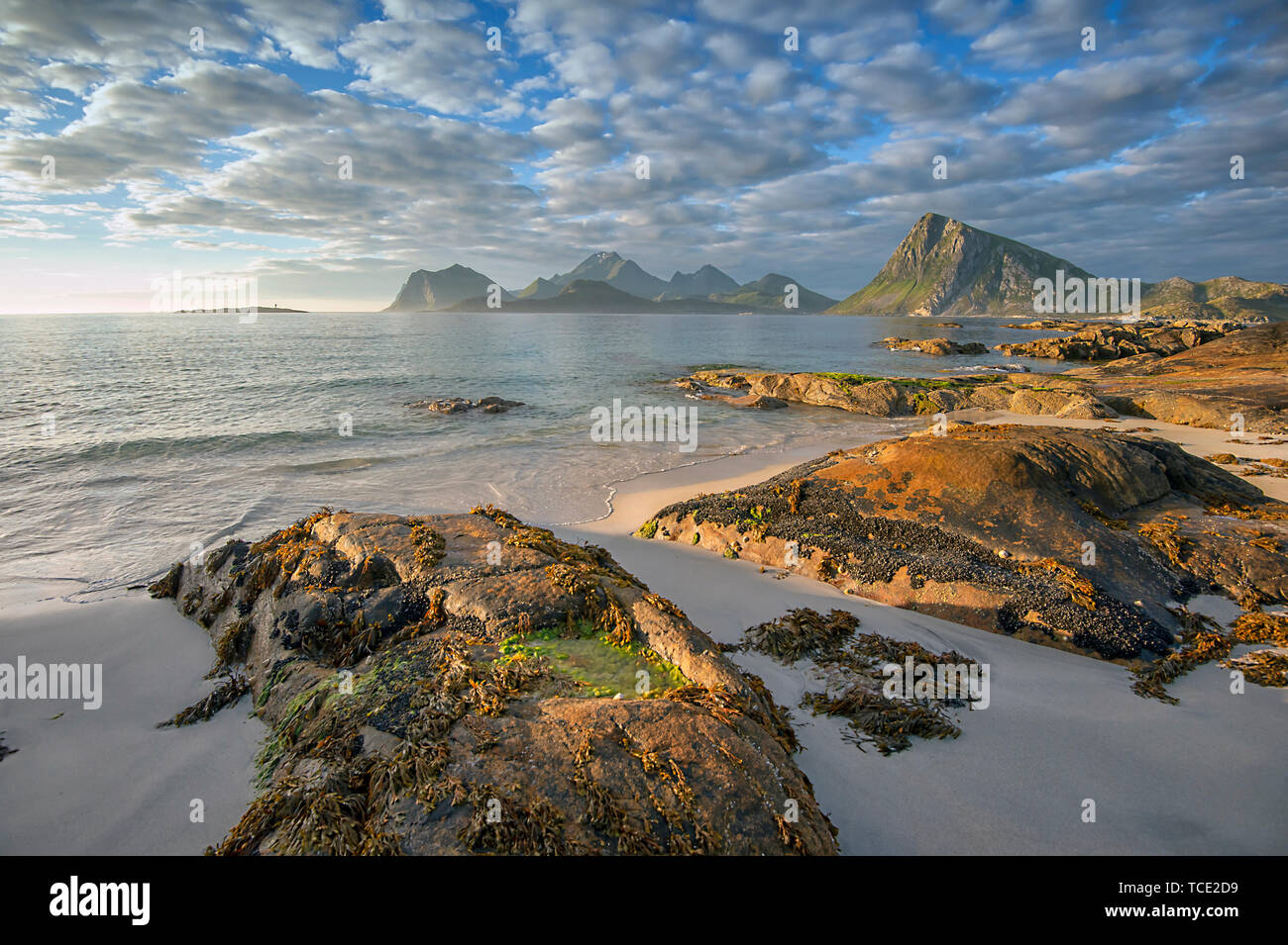 Beach, Flakstad, Lofoten, Nordland, Norway Stock Photo - Alamy